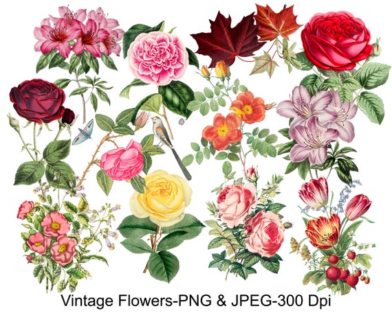 Vintage Flowers Clipart Flowers Clip Art Digital Collage - Etsy