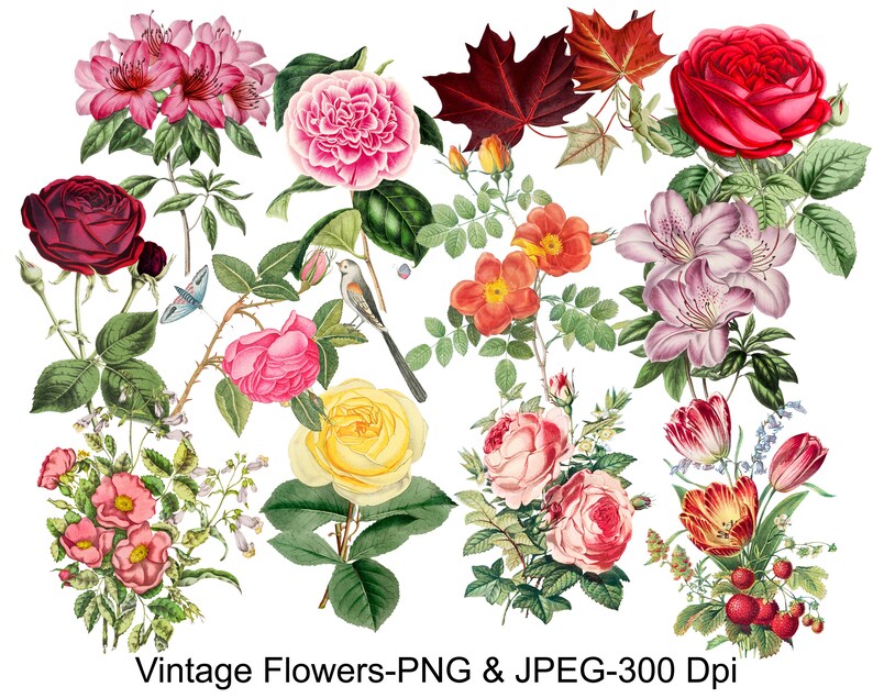 Vintage Flowers Clipart, Flowers Clip Art, Digital Collage Sheet ...