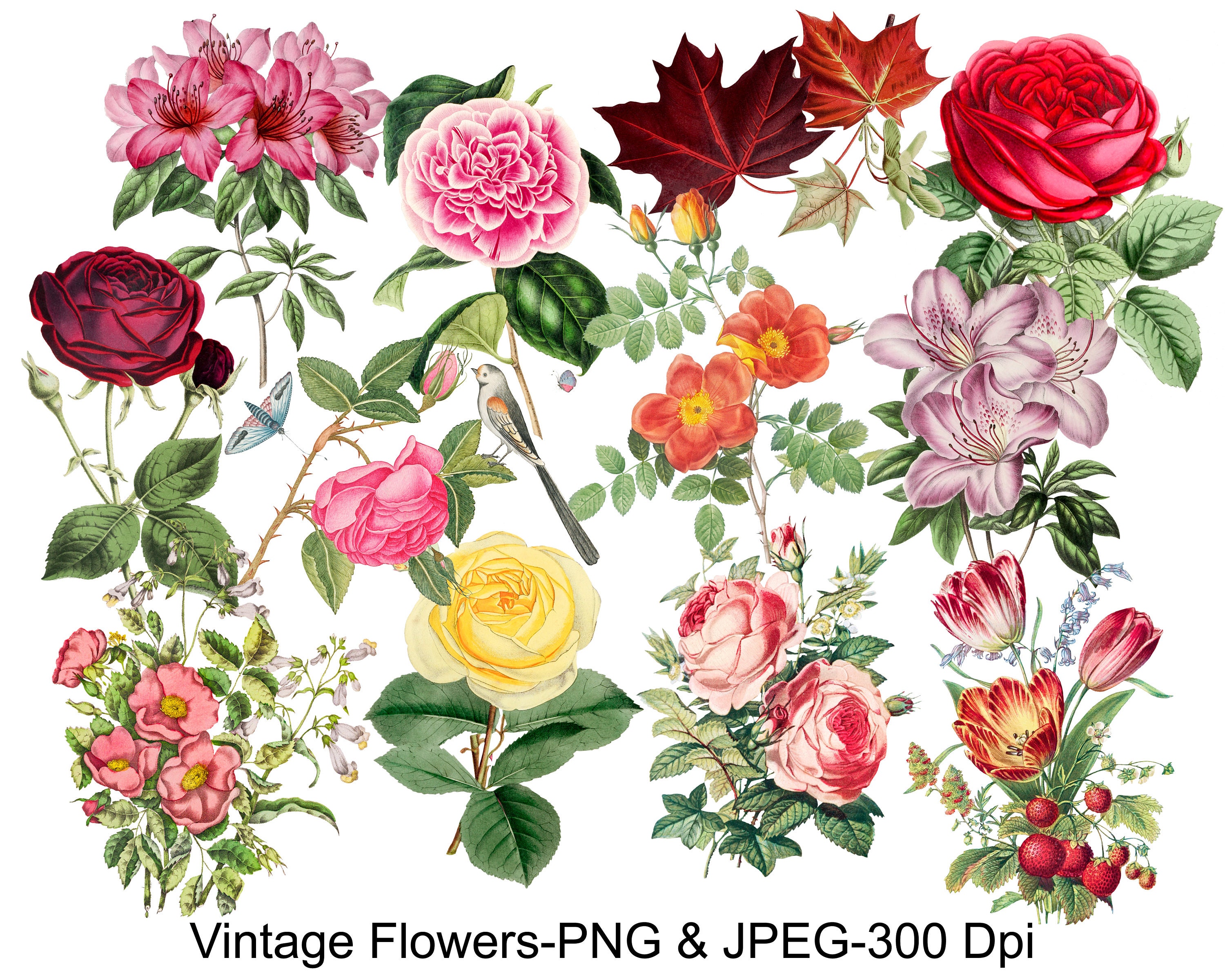 Vintage Flowers Clipart, Flowers Clip Art, Digital Collage Sheet ...