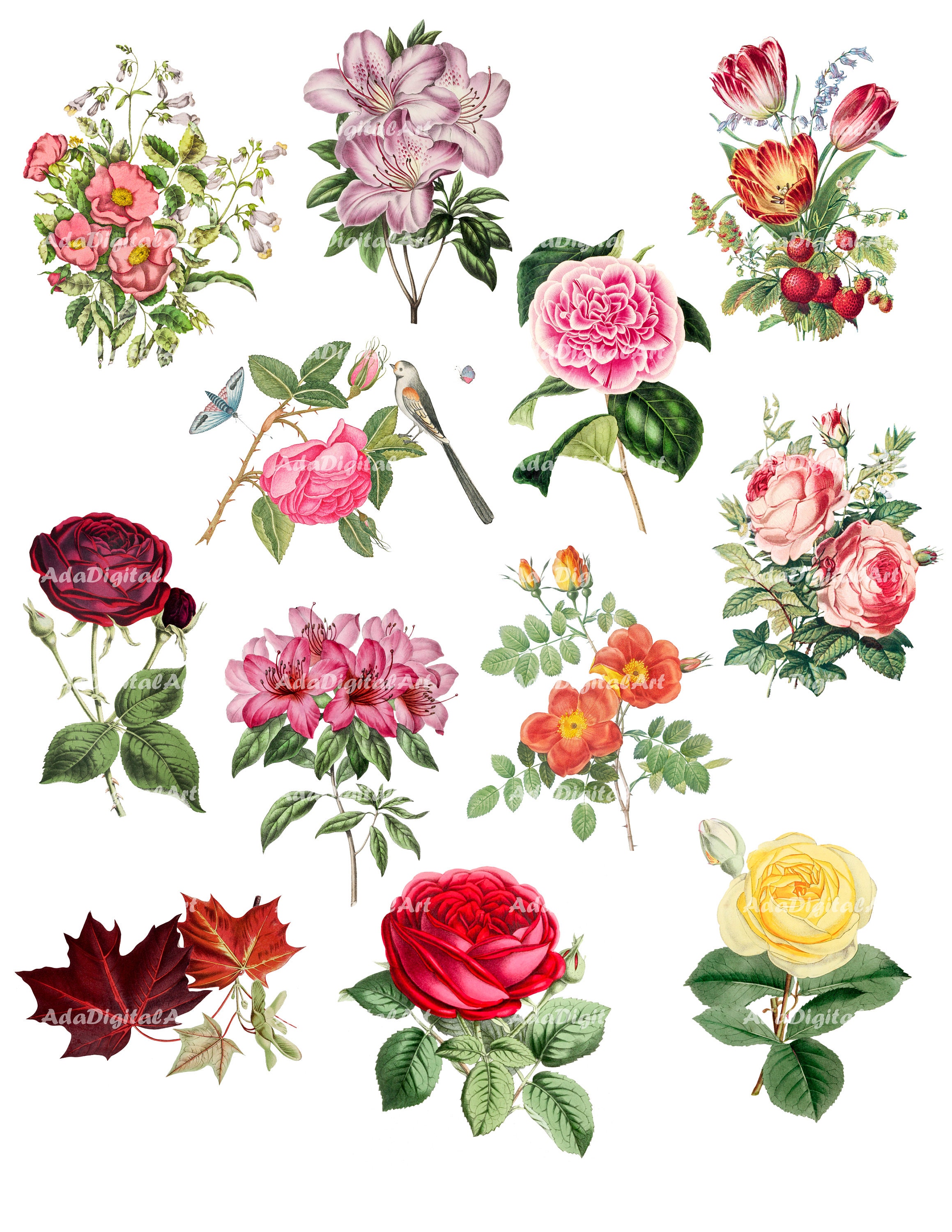 Vintage Flowers Clipart, Flowers Clip Art, Digital Collage Sheet ...