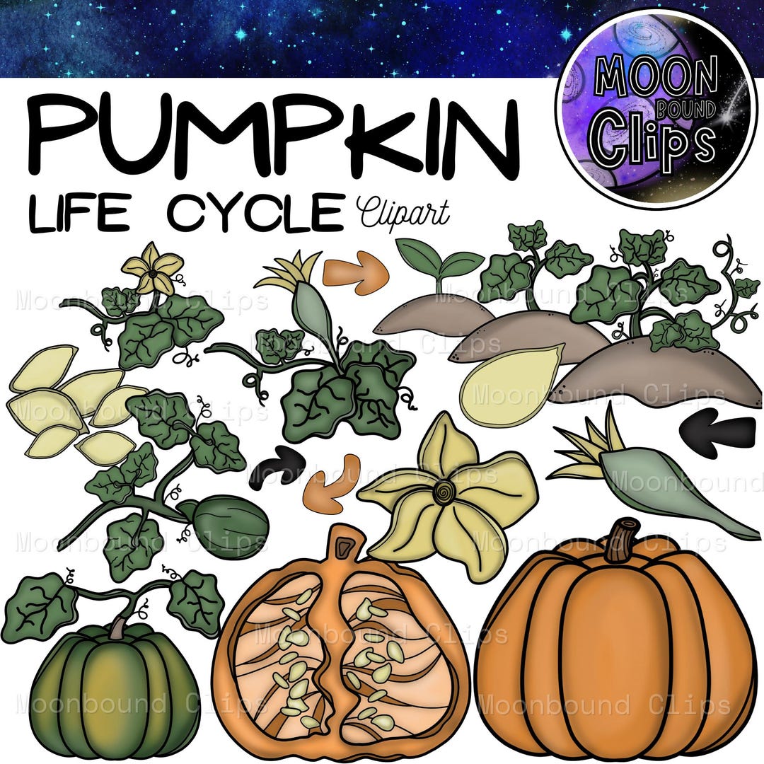 Pumpkin Life Cycle Clip Art, Pumpkin Science Clipart, Instant Download ...