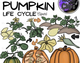 Pumpkin Life Cycle Clip Art Instant Download Educational Clipart Learn ...