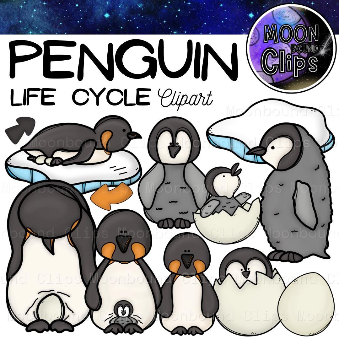 Penguin Life Cycle Clipart Set – Educational Digital Download for ...