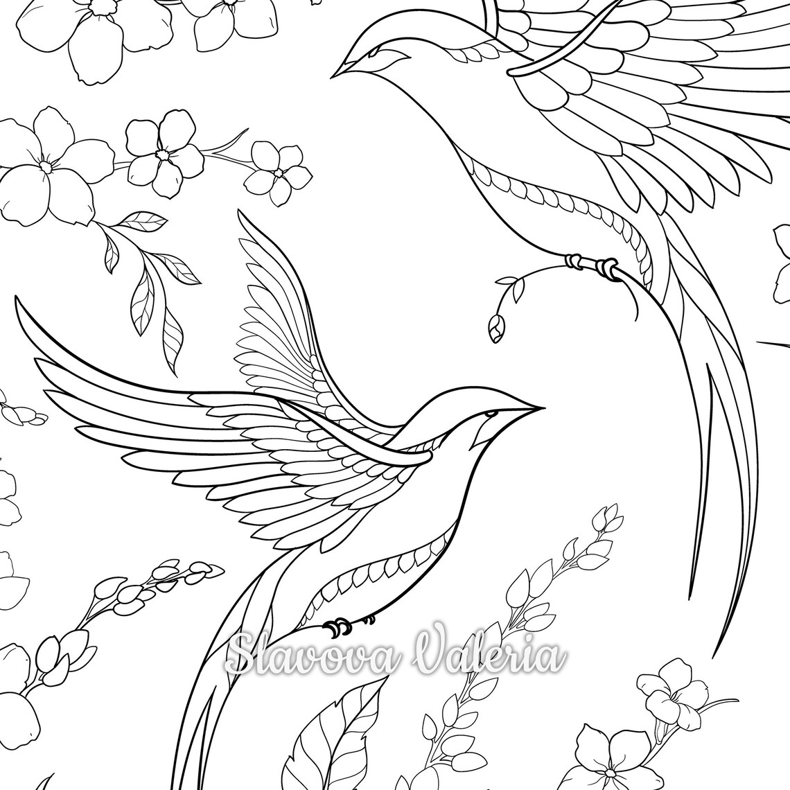 Two Birds in Flowers, Printable Coloring Page, Adult Coloring Book ...