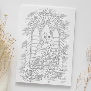 Owl With Flowers - Printable Coloring Book Pages for Adults and Kids ...