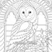 Owl With Flowers Printable Coloring Book Pages for Adults and Kids ...