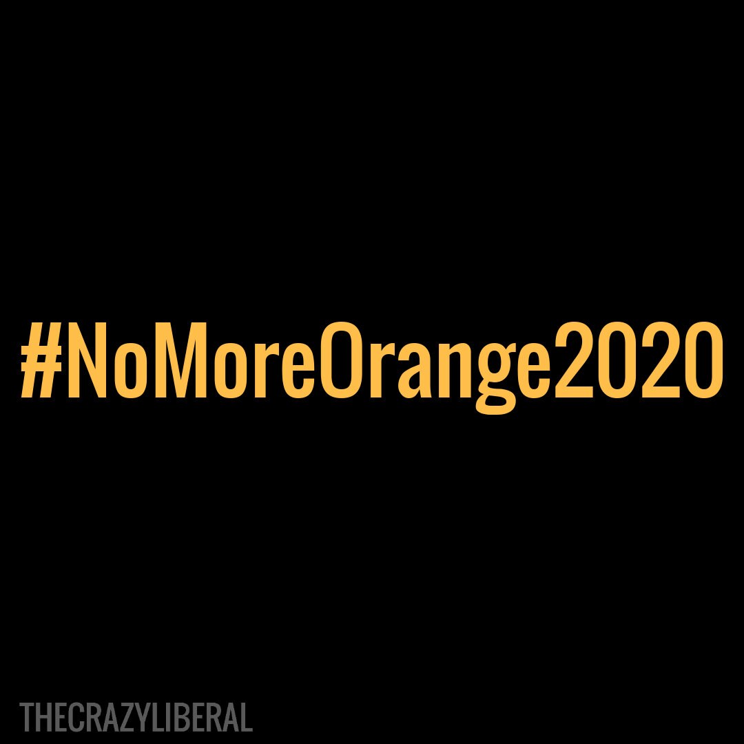 No More Orange 2020 Vinyl Decal - Etsy