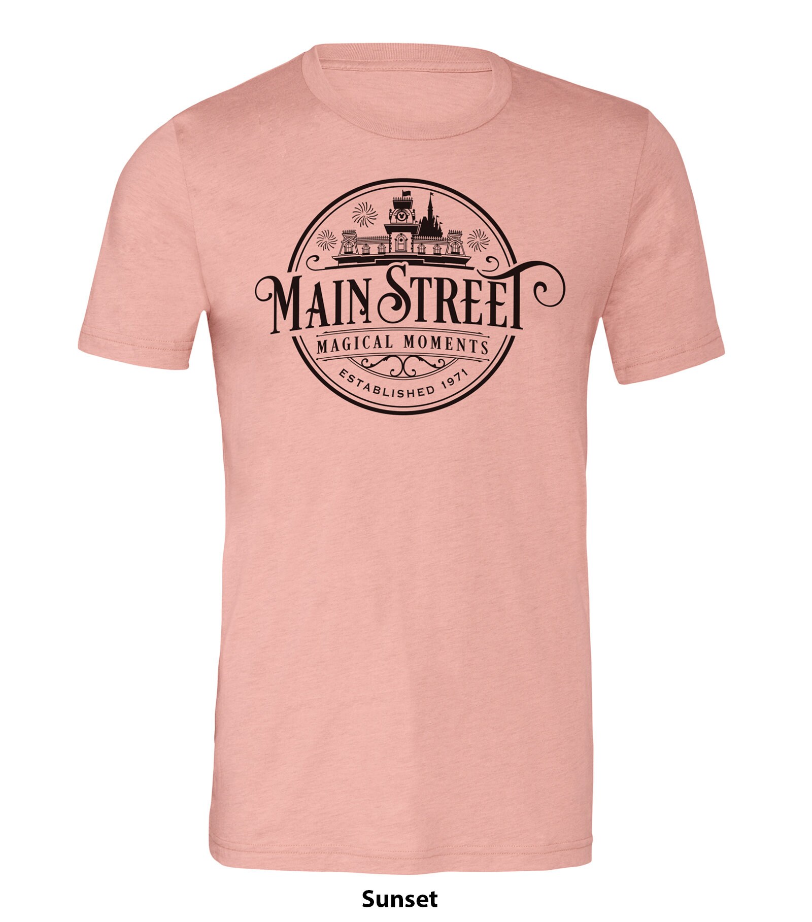 Disney Main Street USA Shirt for Men and Women Disney | Etsy