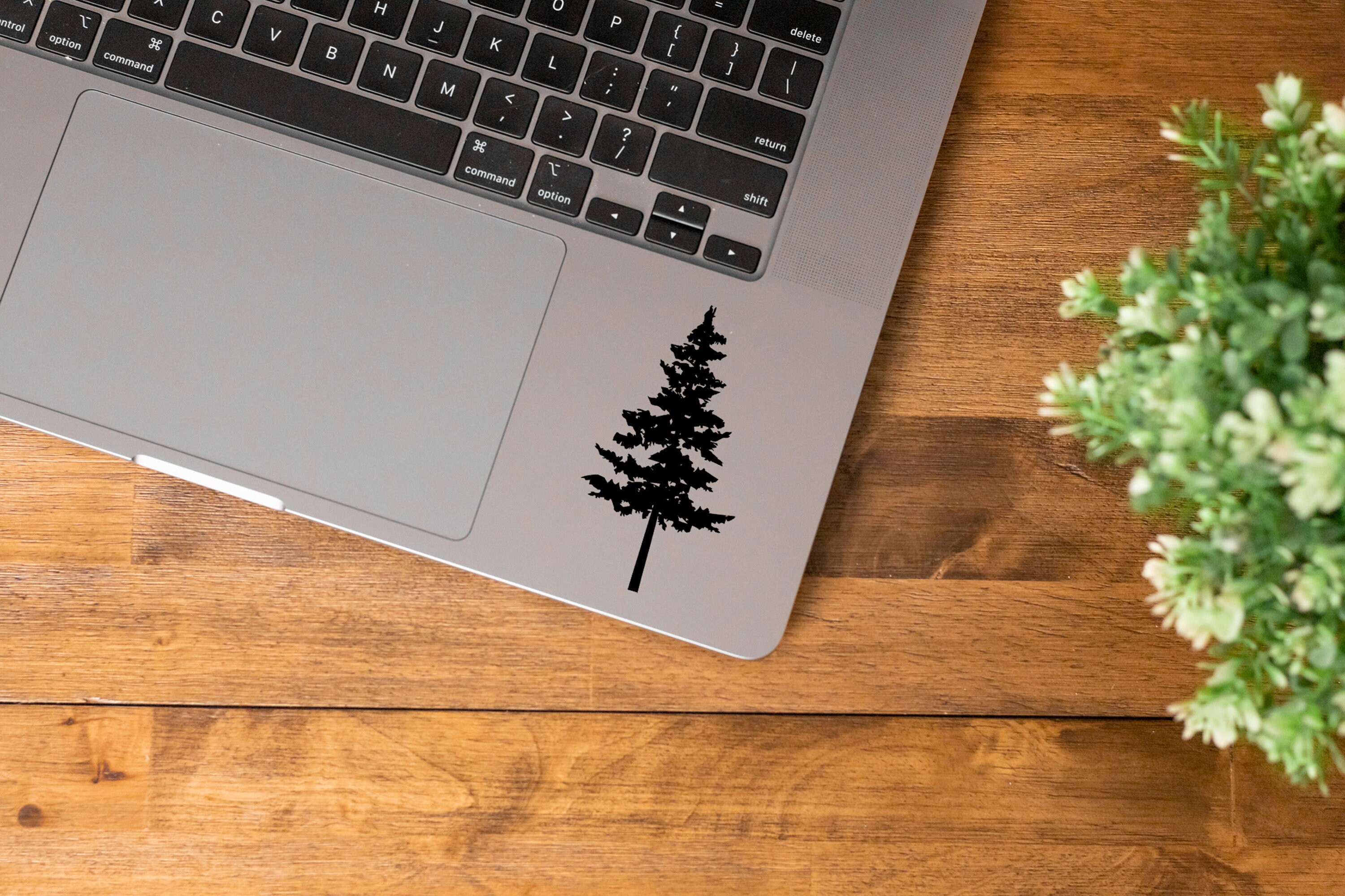 Tree SVG Bundle: Fir, Pine, Forest Cut Files (digital Download) - Etsy