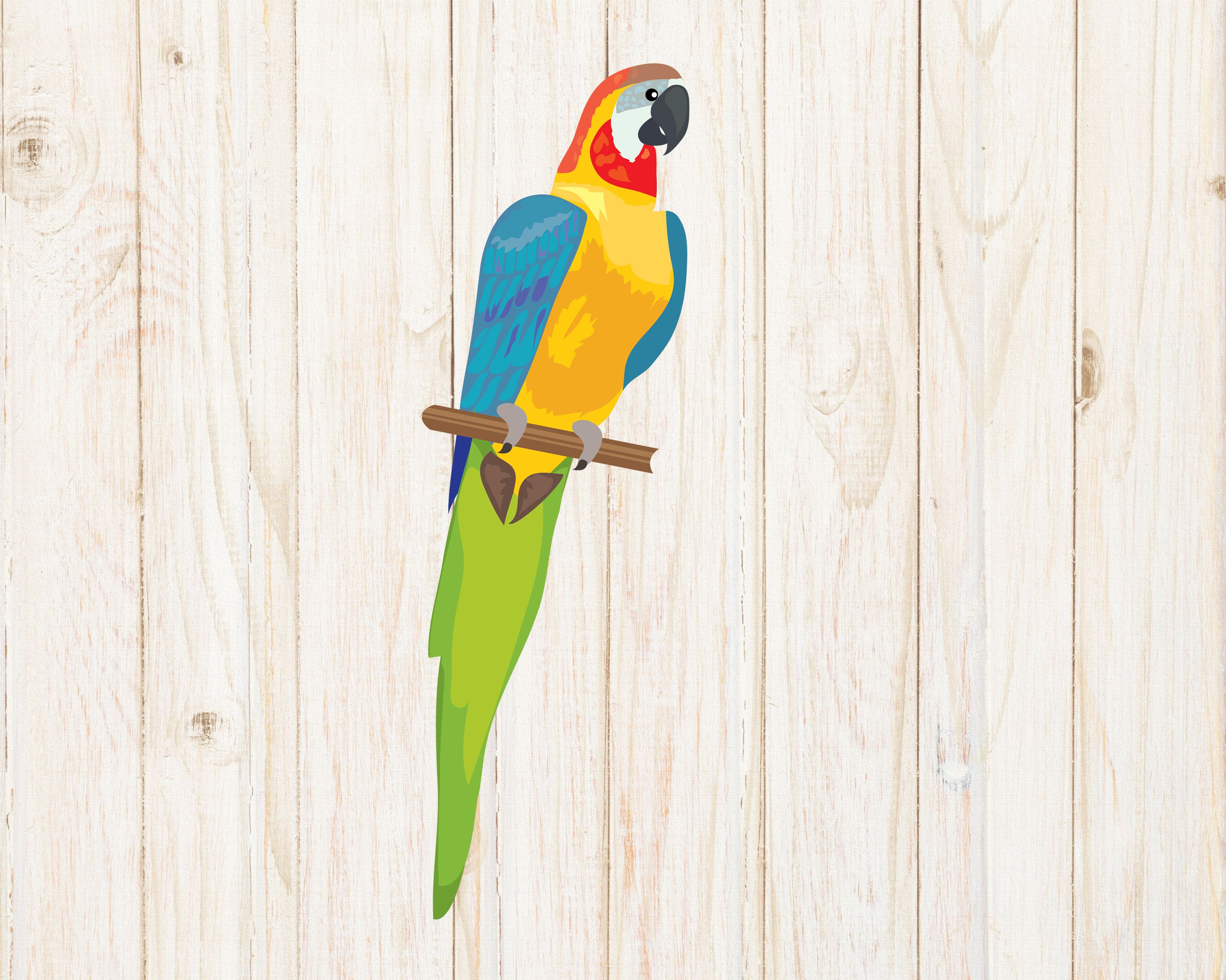 Parrot SVG Tropical Bird Svg Cut File for Cricut Layered - Etsy Canada