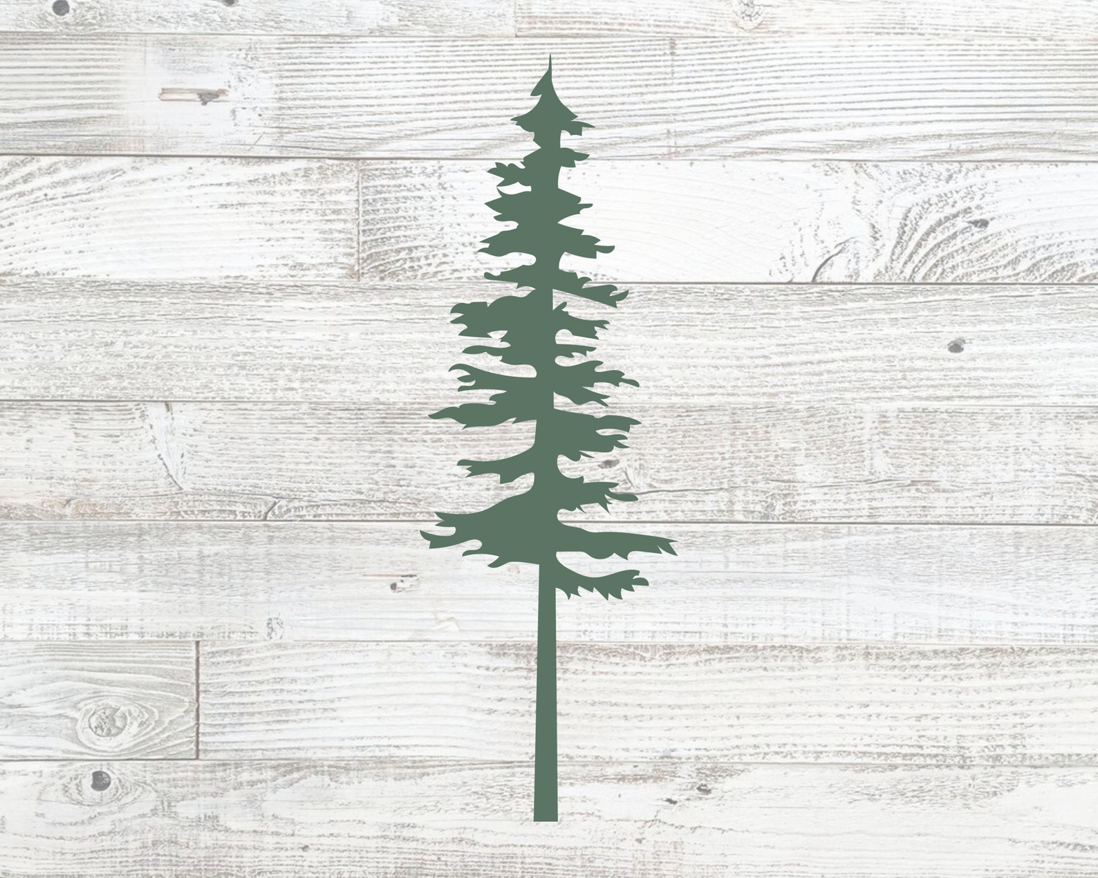 Pine Tree Svg Tree Svg Forest Svg Cut File for Cricut PNG - Etsy