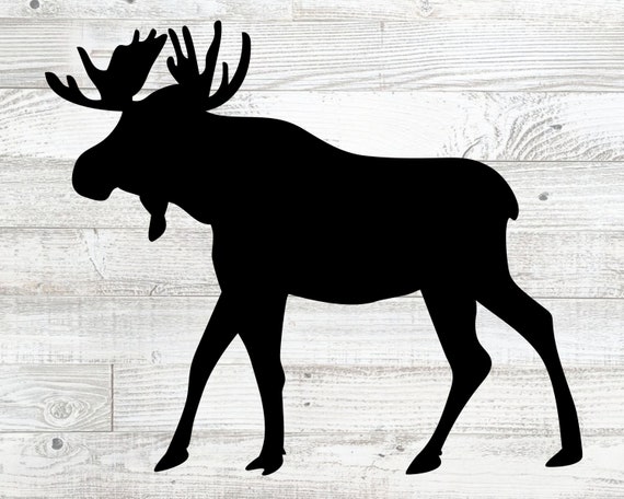 Moose Svg Wild Animal Svg Cut File for Cricut Moose - Etsy Canada