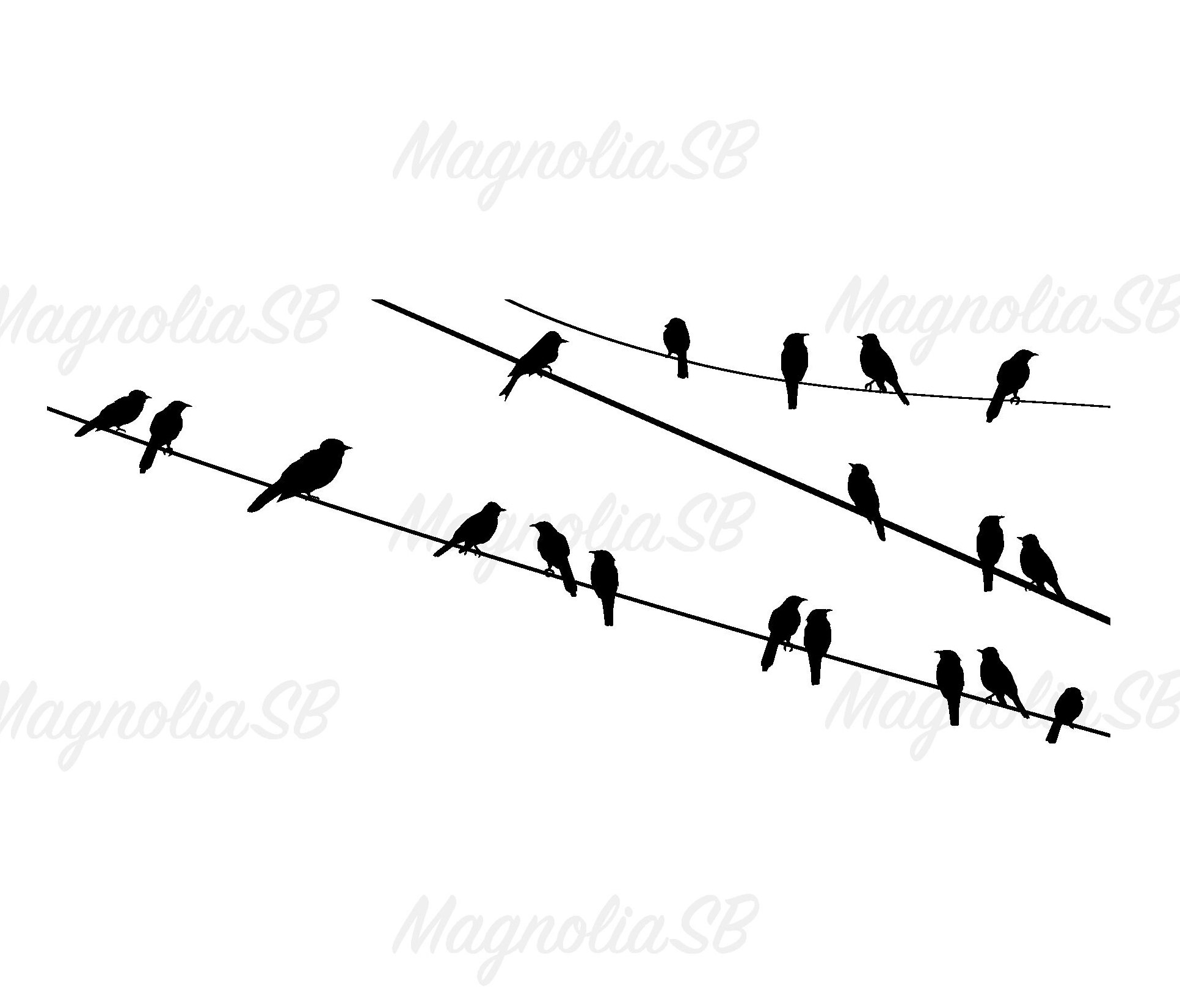 Birds Wire Vector