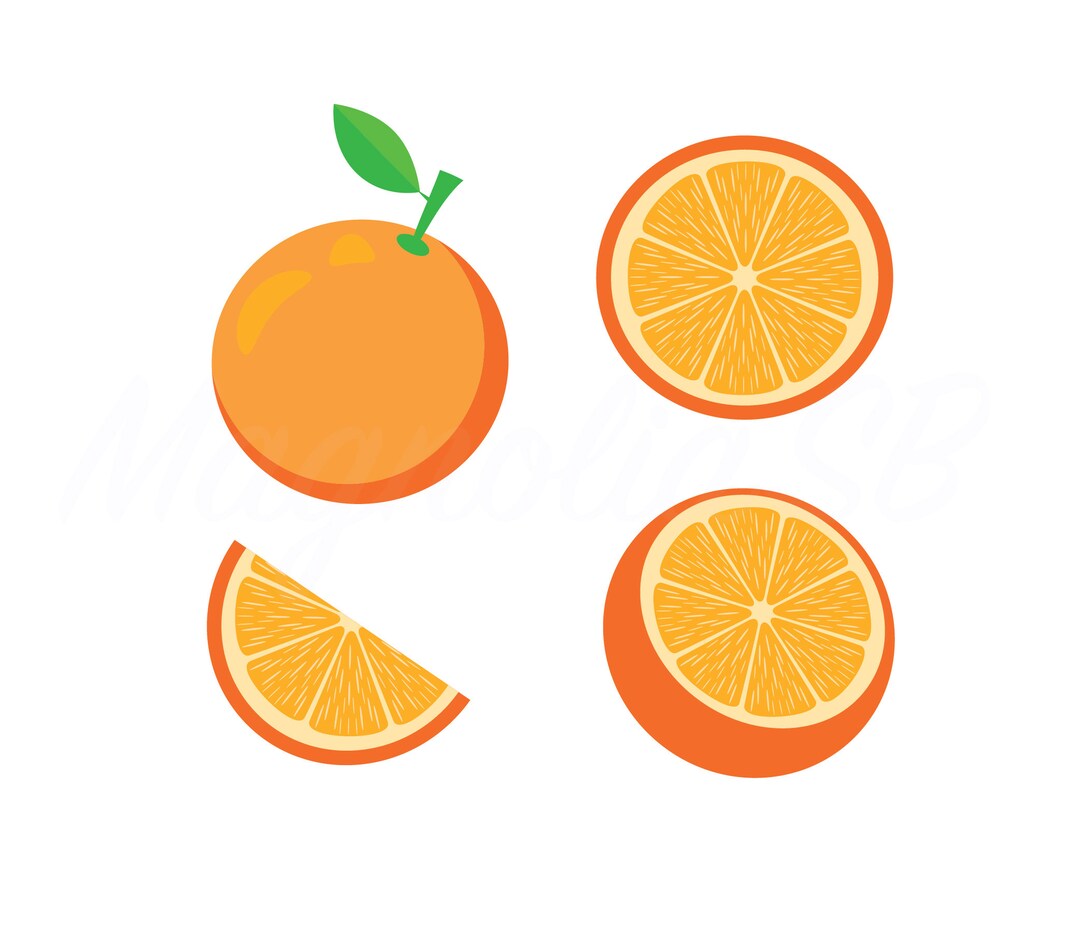 Oranges SVG, DXF, Fruit Clipart, Vector, Cutting, Fresh, Food, Fresh ...