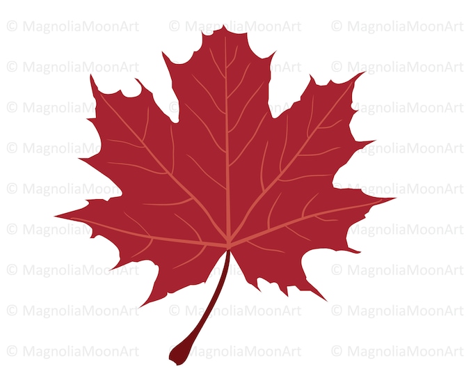 Maple Leaf Autumn Fall Canada Symbol Red Maple Tree Nature Foliage ...