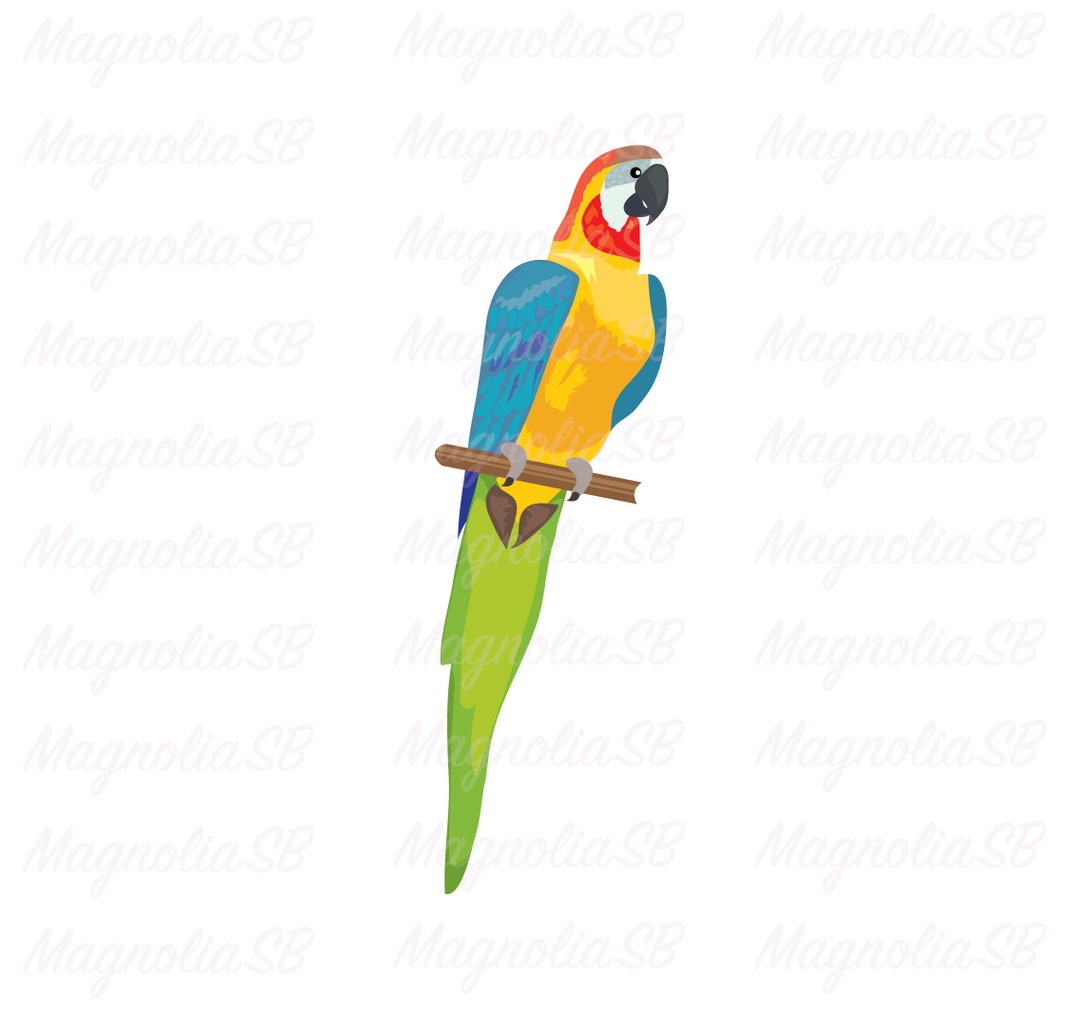 Parrot SVG, Tropical Bird Svg, Cut File for Cricut, Layered Parrot Svg ...