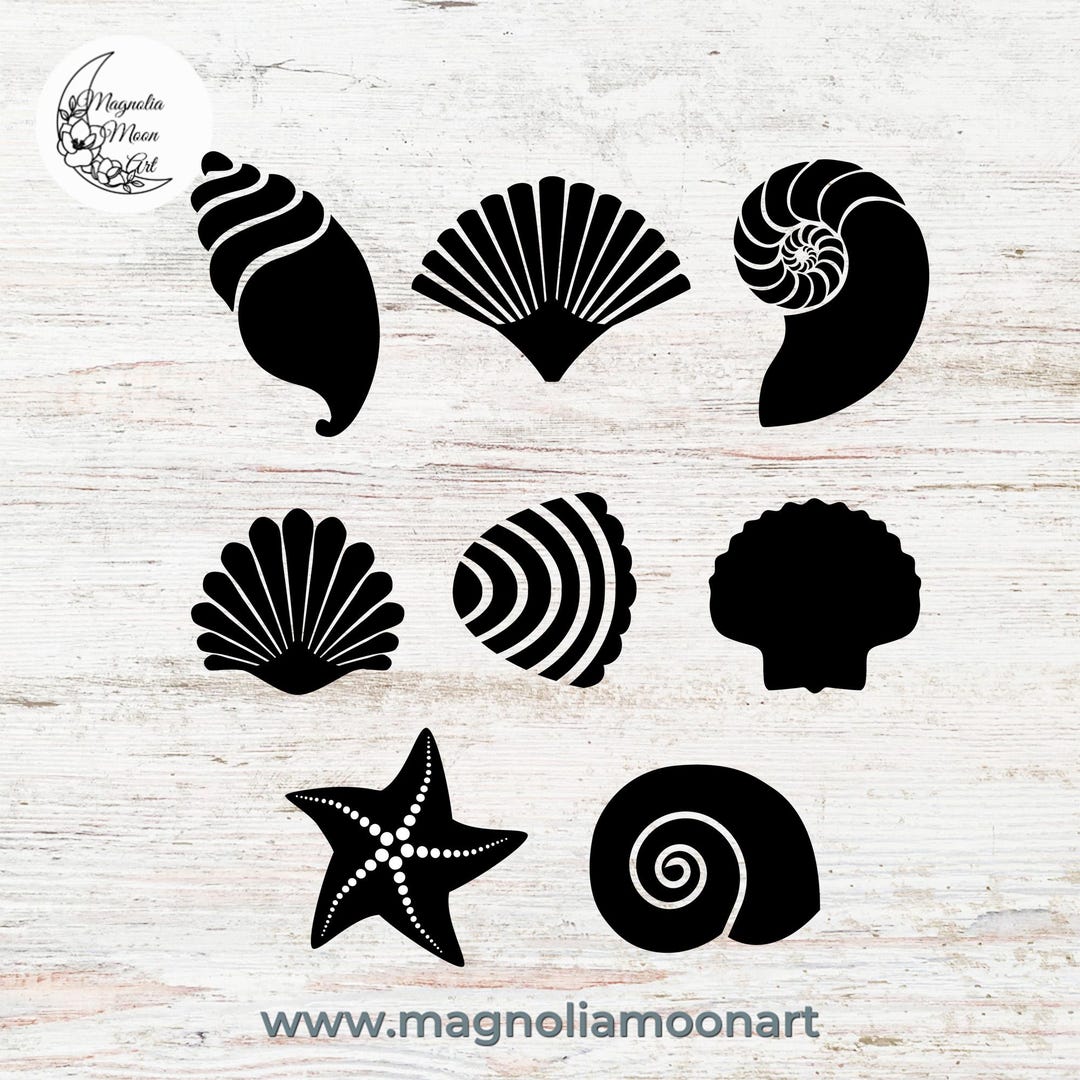 Sea Shells Clipart Bundle, Ocean Vector Graphics (svg, Dxf, Png, Eps ...