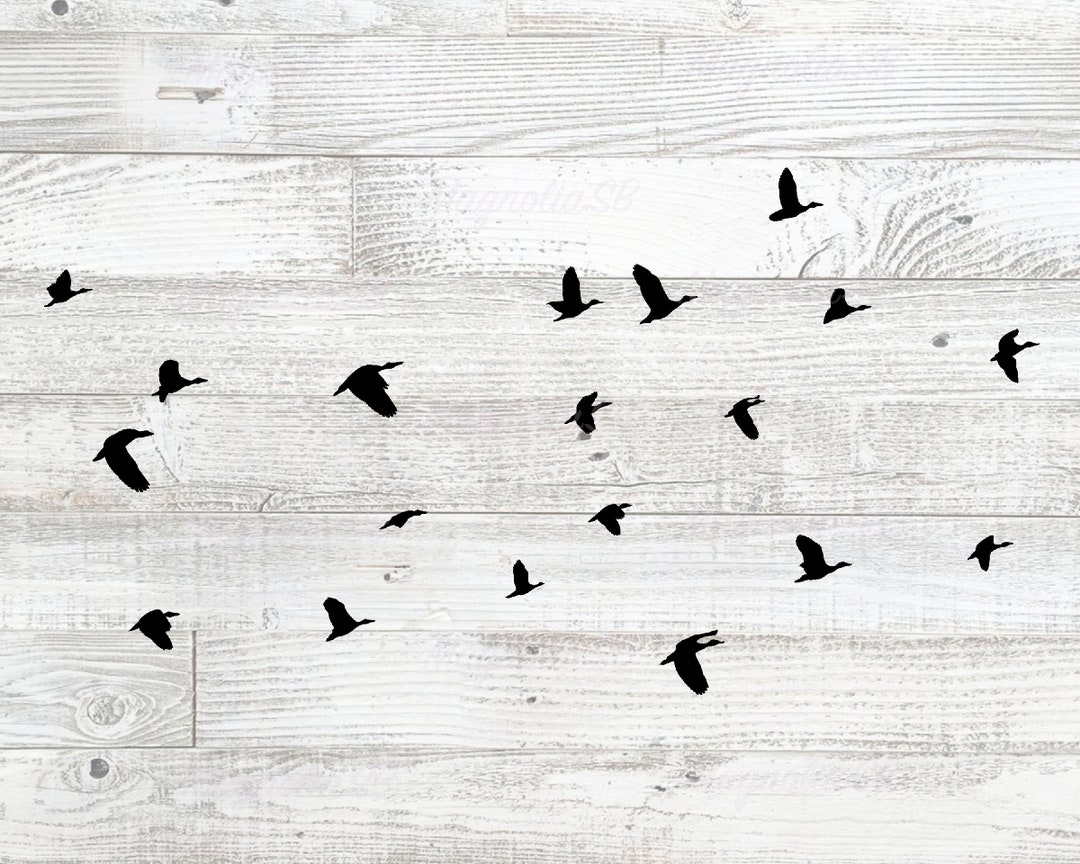 Aves volando SVG Aves DXF Aves svg archivo de corte para - Etsy México