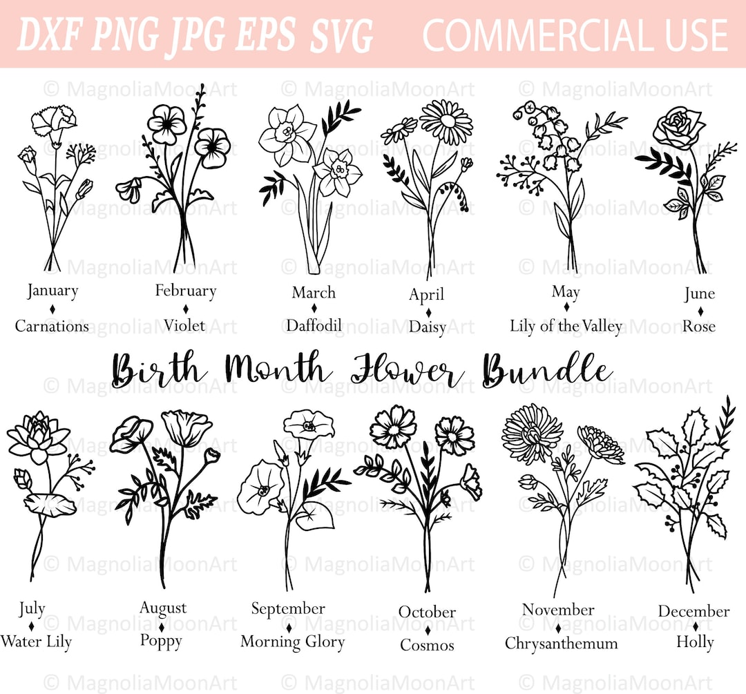 Birth Month Flower SVG Bundle: Floral Clipart (digital Download) - Etsy