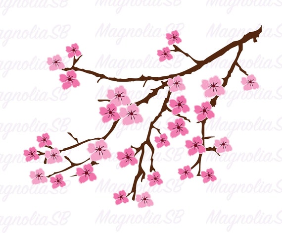 How To Draw A Cherry Blossom Tree Branch