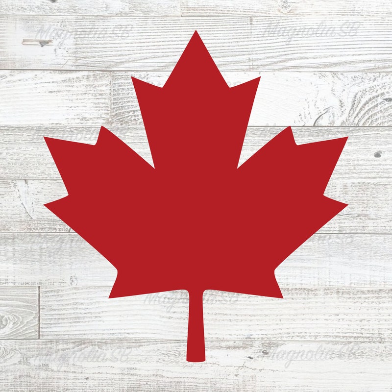 Canada Maple Leaf Icon - Etsy