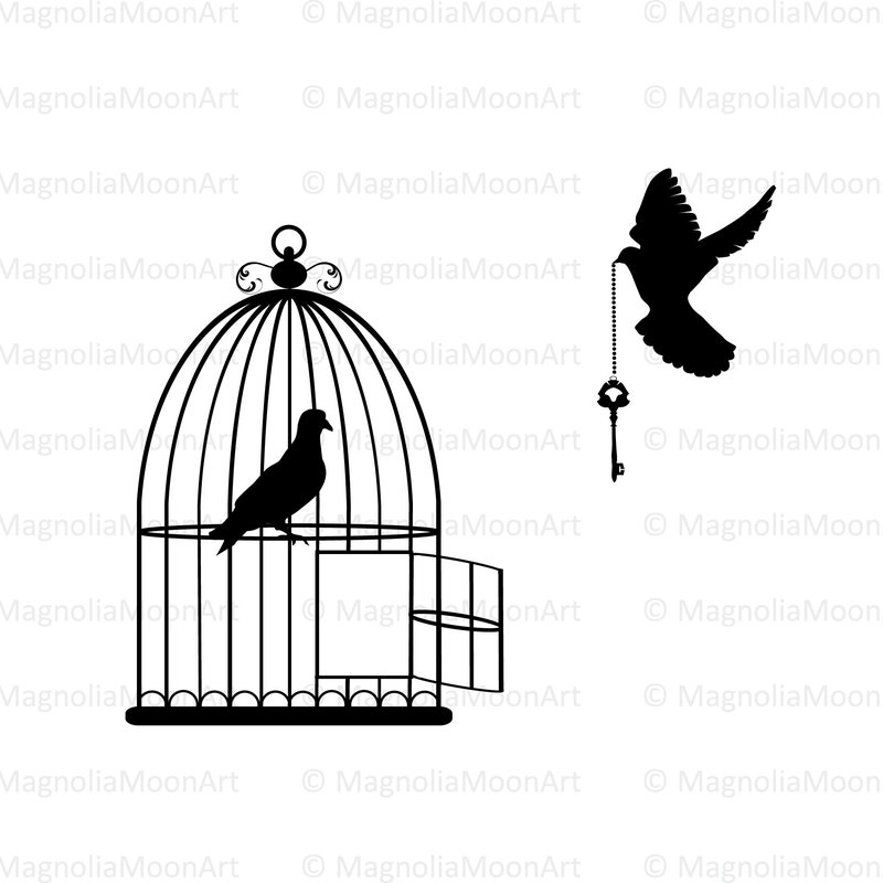 Bird Cage Print - Etsy