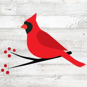 Cardinal Bird SVG, Layered Cardinal Svg, Bird Svg, Christmas Svg, Cut ...