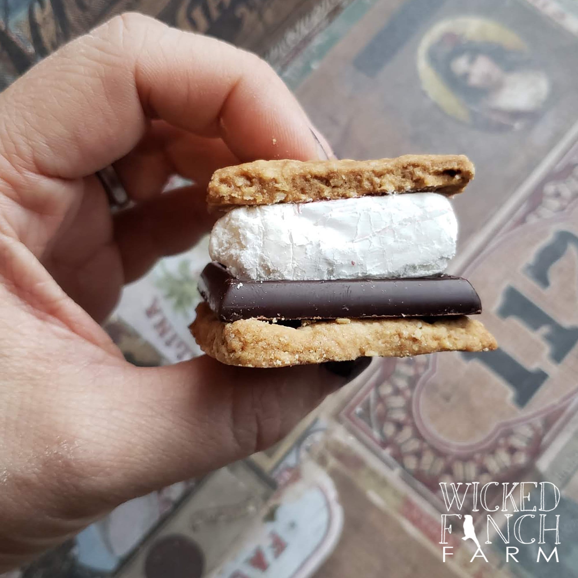 Fancy Farm S'mores Kit - Etsy