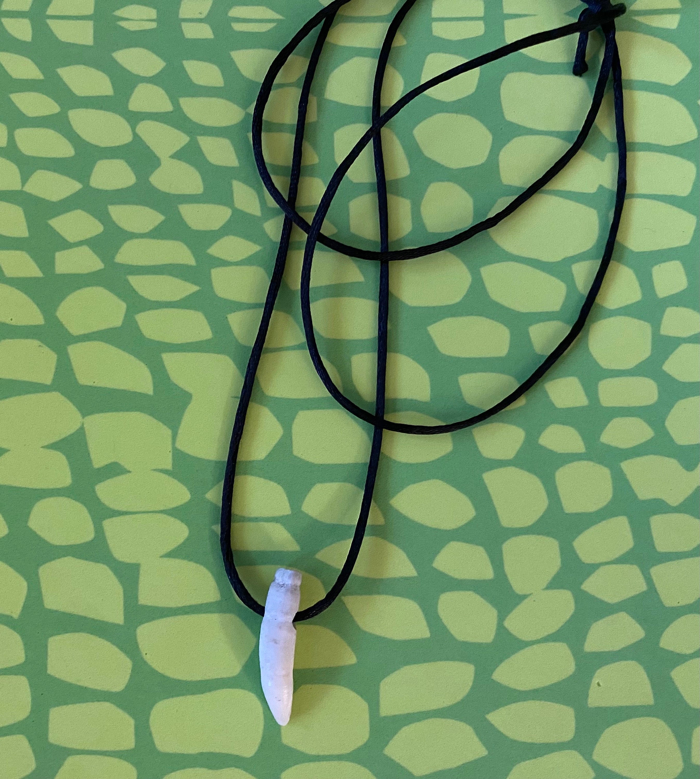 Gator Tooth Necklace regular Size - Etsy