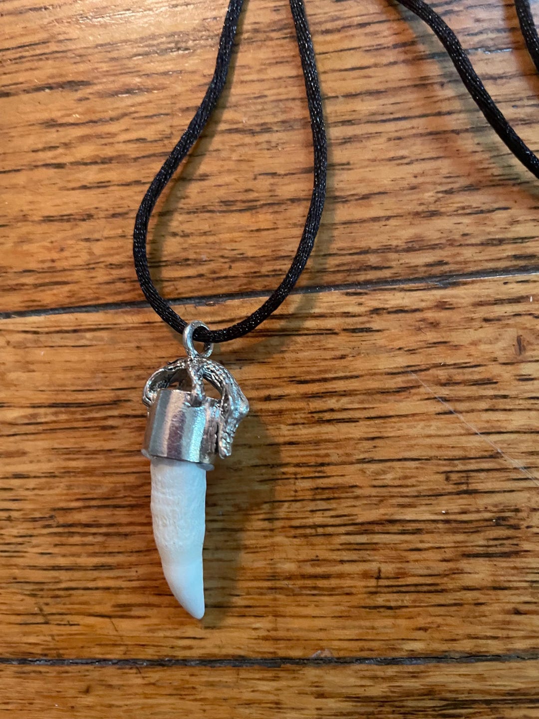 A Real Alligator Tooth Necklace: 1/2 Inch to 1 and 1/2 Inch Gator Tooth ...