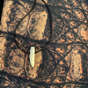 Gator Tooth Necklace regular Size - Etsy