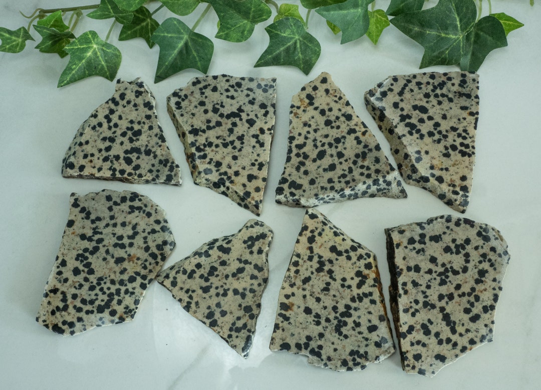 Dalmation Jasper Cut Slab Specimens - Etsy