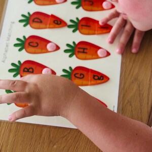 Spring Alphabet Matching | Carrot-themed Uppercase & Lowercase Letter ...
