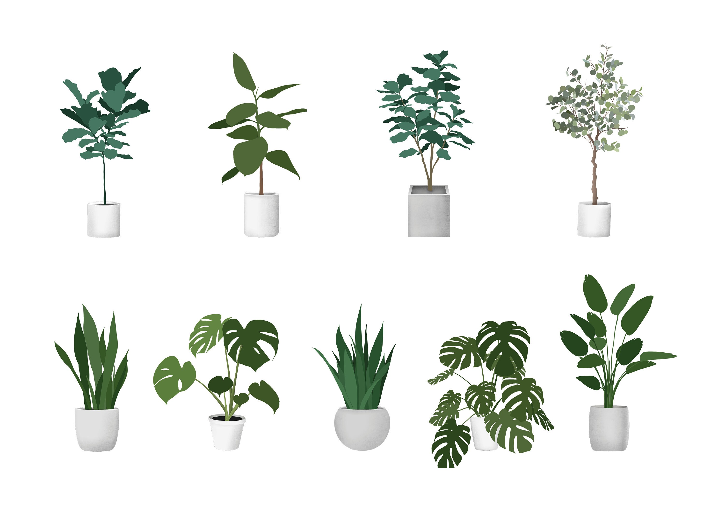 9 Plantas Paquete Vector Clipart PNG AI Ilustración Collage EPS - Etsy ...
