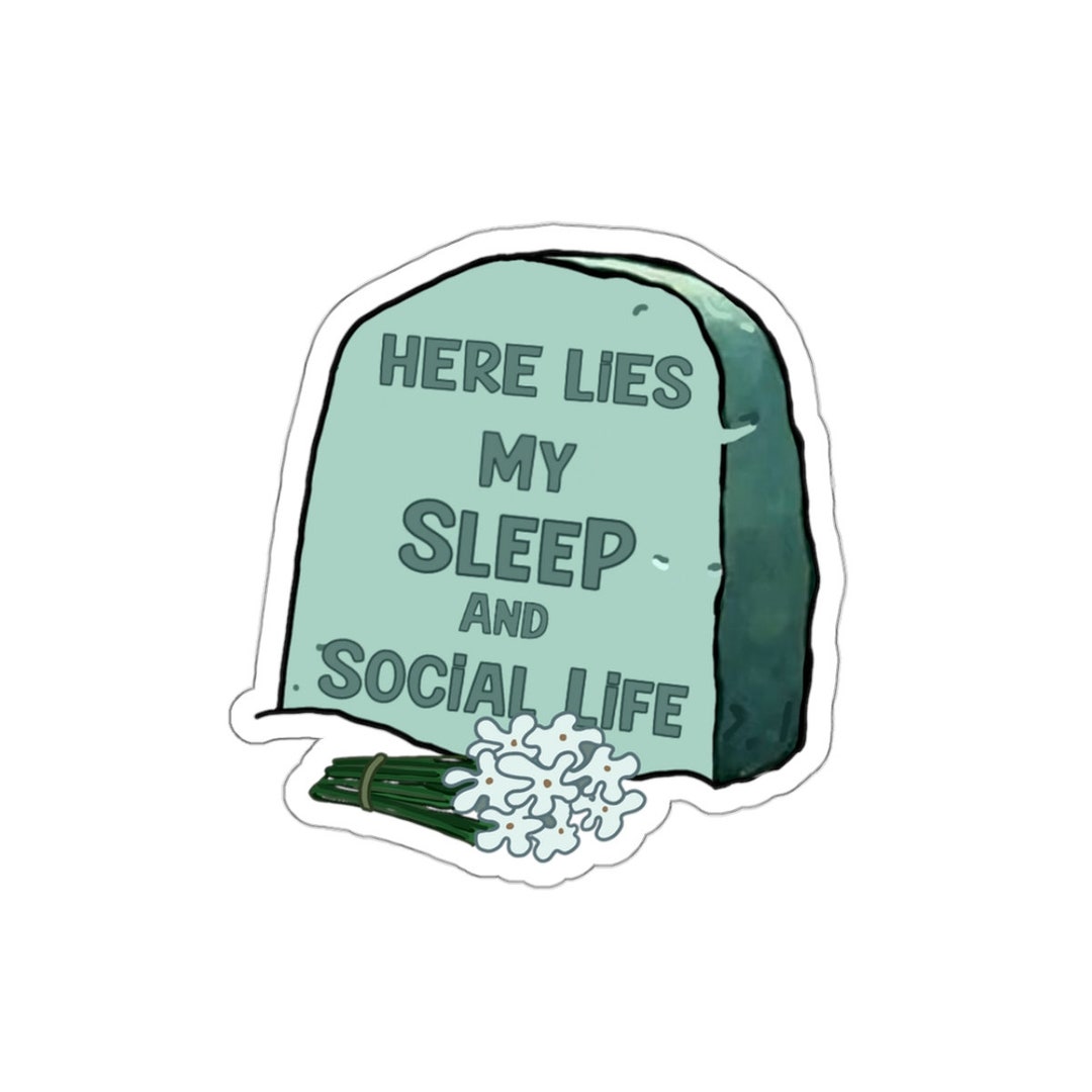 Hilarious Sticker I Have No Life Silly Gift - Etsy