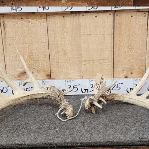 Deer Antler Macrame - Etsy