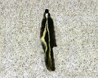Skunk Hide - Etsy