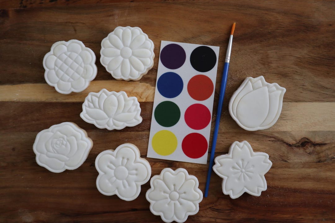 Floral Paint Your Own Biscuits / Party Favour / Flower Paint Your Own ...