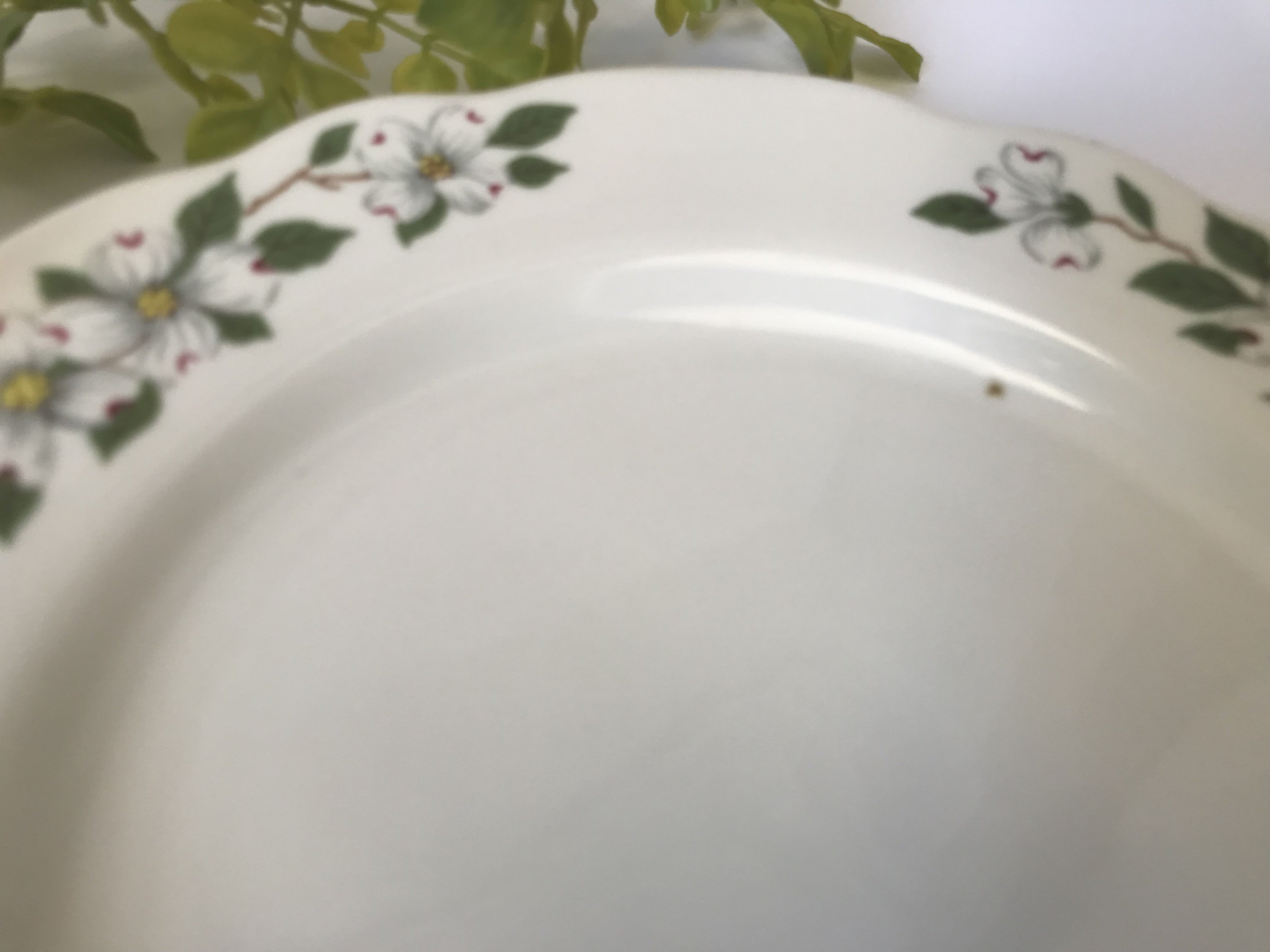 Six Dogwood Pattern Buffalo China Bread Dessert Plates 6 3/8 | Etsy