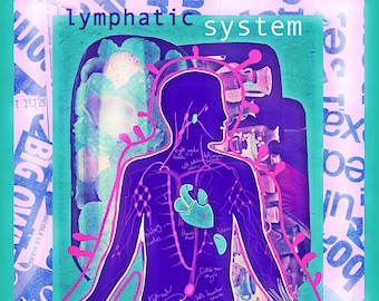 Lymphatic System Poster: Comprehensive Overview With Anatomy and Common ...
