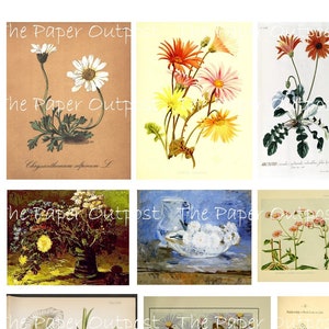 DAISY DARLINGS Printable Digital Download Printable Daisies Flower ...