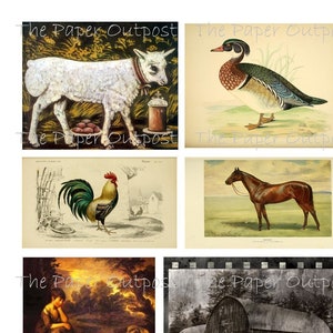 FARM LIFE Printable Digital Download Printable Image, Digikit Cow Pig ...