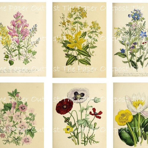 TULIPS TULIPS Digikit Digital Printable Printables Digikits - Etsy