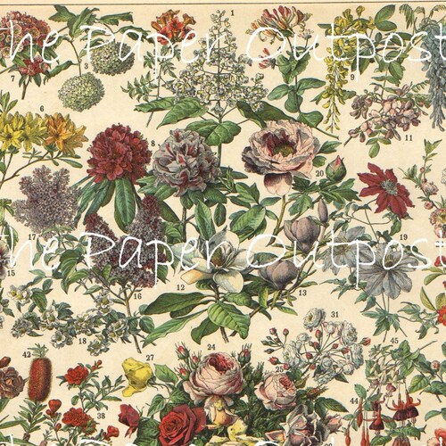 FLORAL MOTIFS Digikit Digital Printable Printables Digikits - Etsy