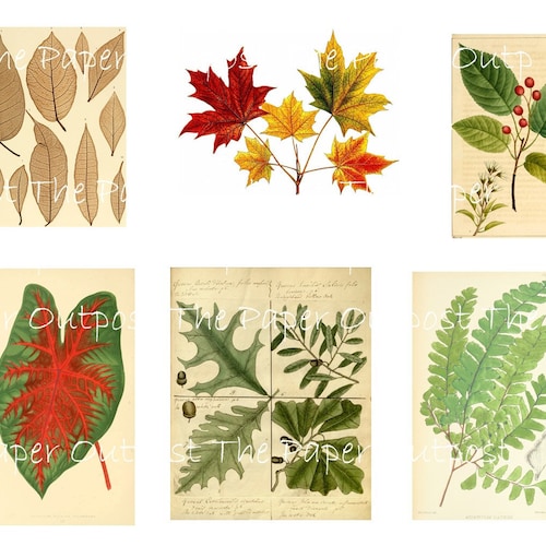 Leaves of Nature Digikit Digital Printable Kit Digital Kit - Etsy
