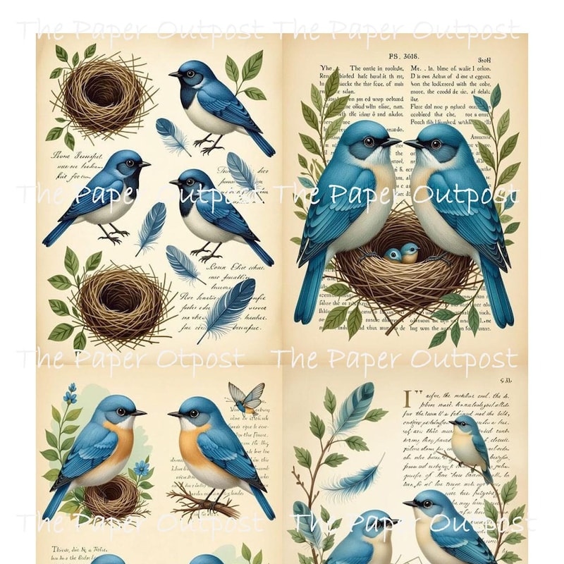 Etsy Blue Bird - Etsy