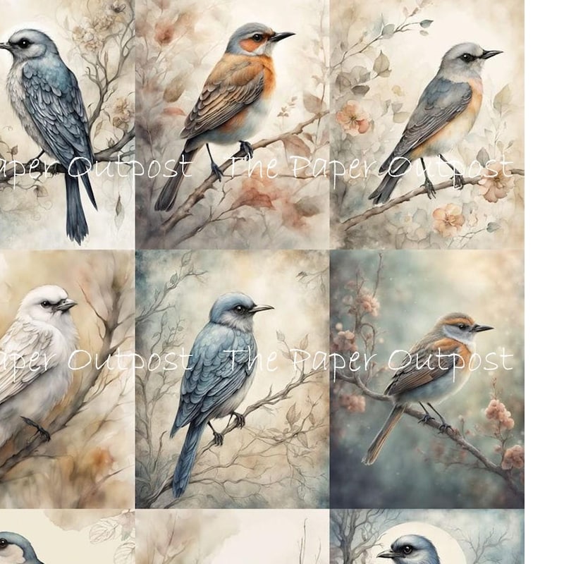 Bird Watercolor Handmade - Etsy