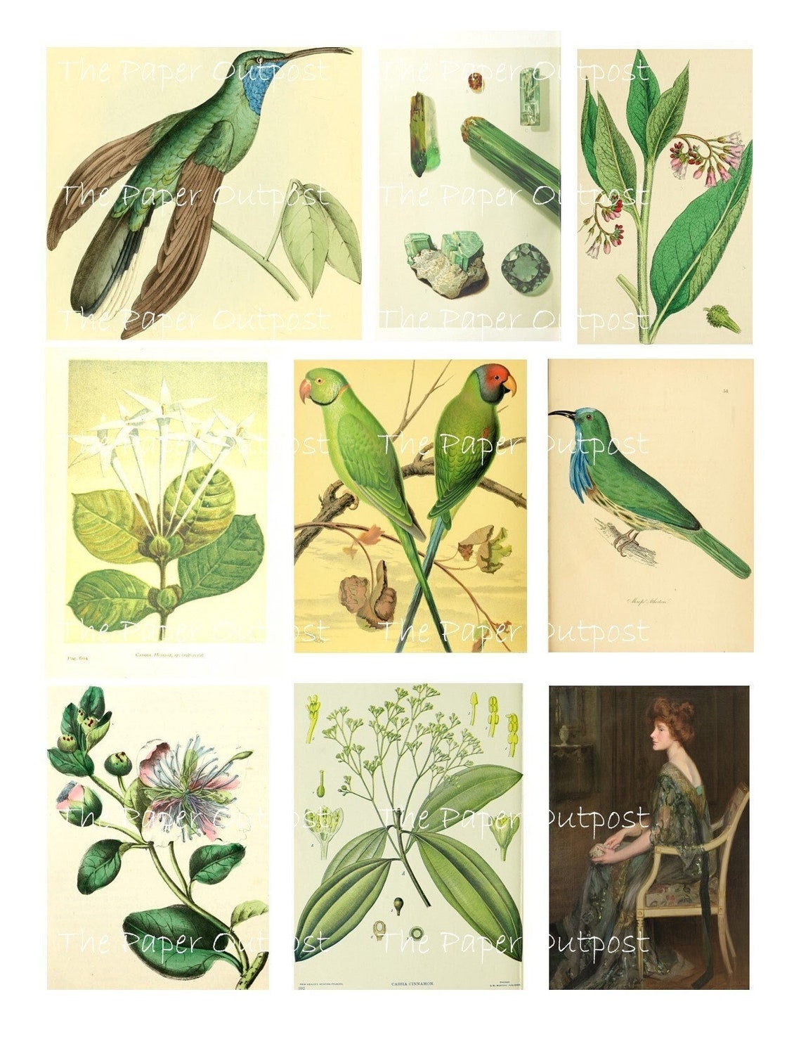 Green Vintage Theme Digikit Digital Kit Digital Printable - Etsy