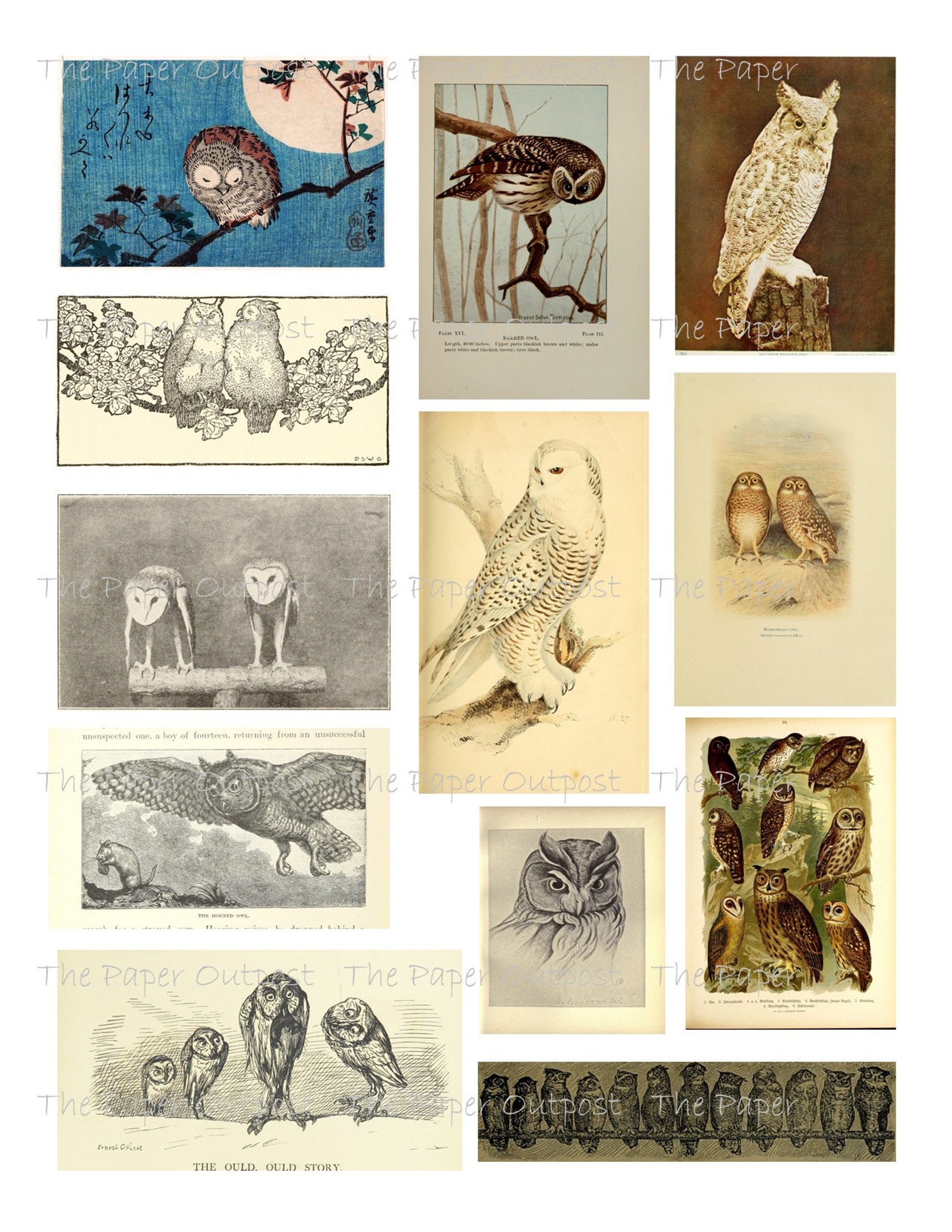 Owl 2 Printable Digital Download Printable Image Digikit - Etsy
