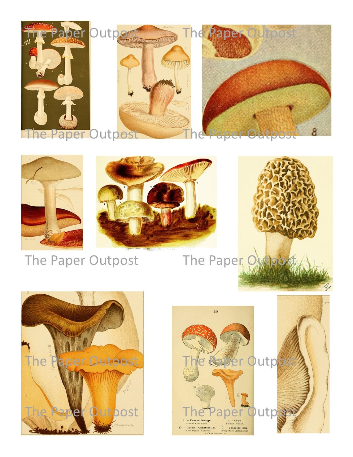 Mushroom Mushrooms Digital Printable Kit Digital Kit Digi Kit - Etsy